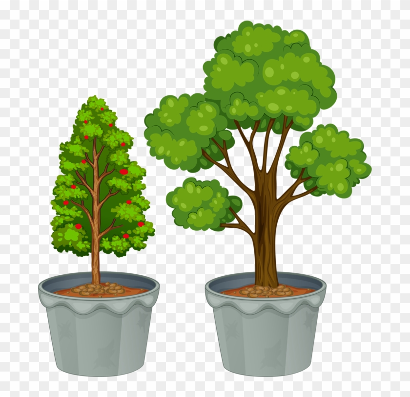 Topiary 1 - - Can & Fear Is Not Of God [book] - Free Transparent PNG ...